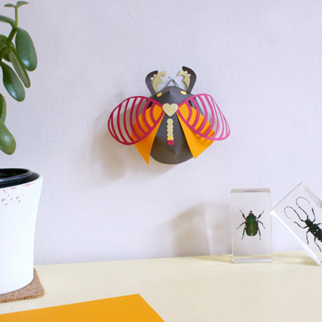 Make your own 3D paper insect | Canson®