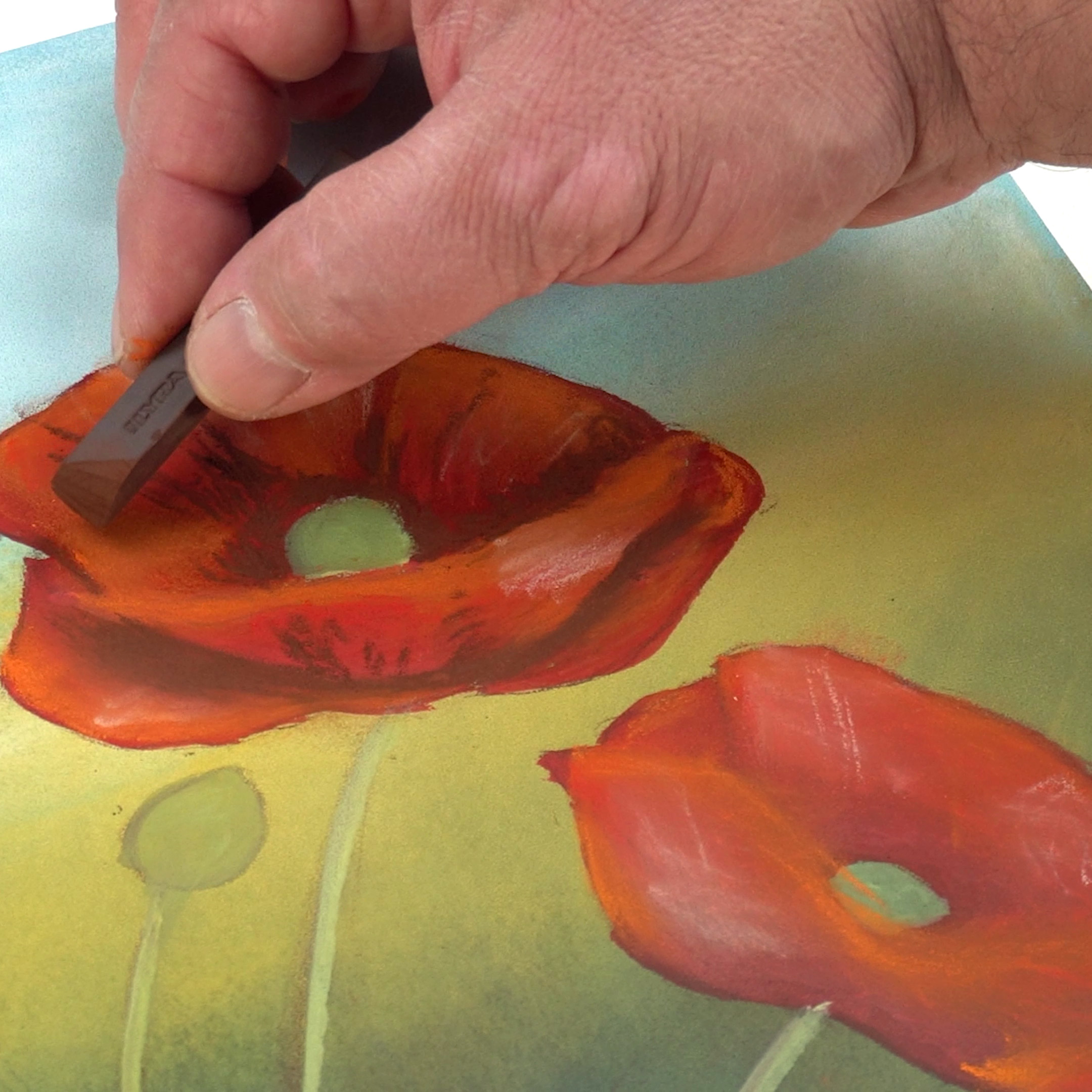 Drawing poppies on Velvet Mi-Teintes paper | Canson®